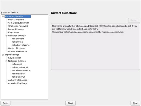 Suse Linux Enterprise Server Sles 10 Installation And