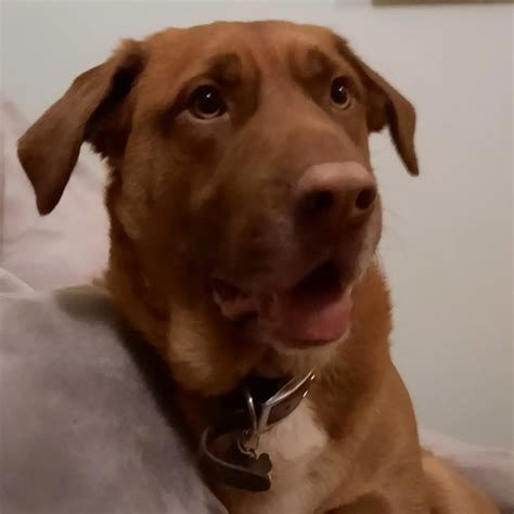 SDXL Style Subject Merge Simple IP Adapter V2 Update ComfyUI Workflow