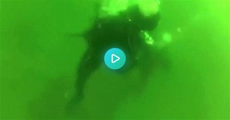 Diver Has Panic Attack  On Imgur