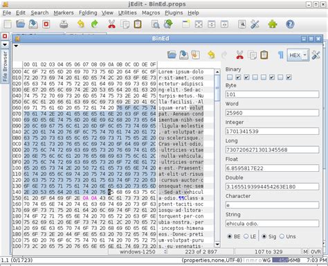 bined binary hex editor