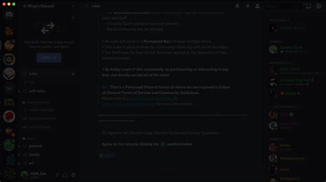 I Have Found A Bug Discord