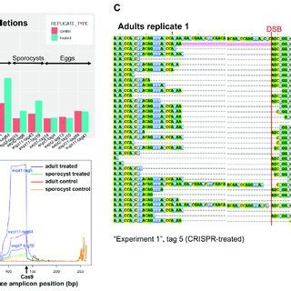 A Frequency Of Deletions In NGS Sequencing Data Identified With The Download Scientific