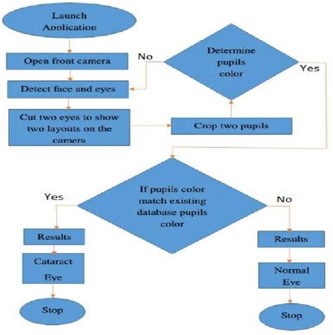 Figure 1 From Cataract Detection Using Smartphone Semantic Scholar