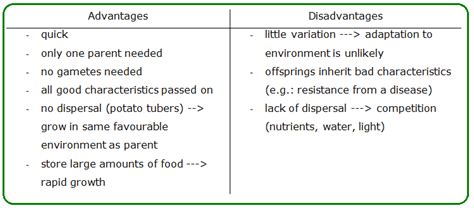 106 Types Of Reproduction Biology Notes For Igcse 2014 And 2024