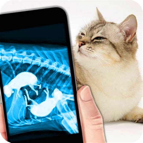 X Ray Pregnant Cat Xray Scanner App On Amazon Appstore