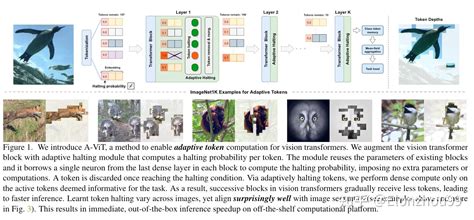 2022cvpr A Vit Adaptive Tokens For Efficient Vision Transformer（高效视觉转化器的自适应token） 知乎