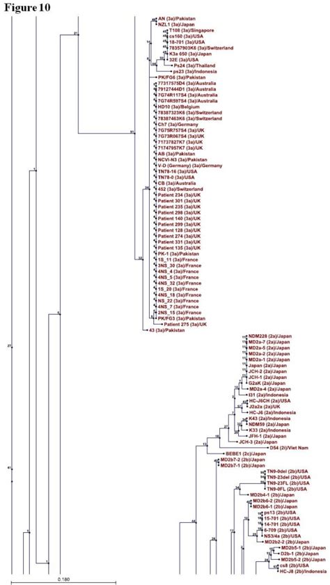 Continuation Of Figure 9 Figure 10 Is Showing Clustering Of The Download Scientific Diagram