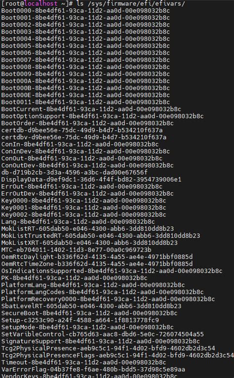 案例安装出现efivars报错 openEuler社区