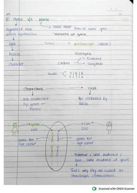 solution principles of inheritance and variation ncert based class