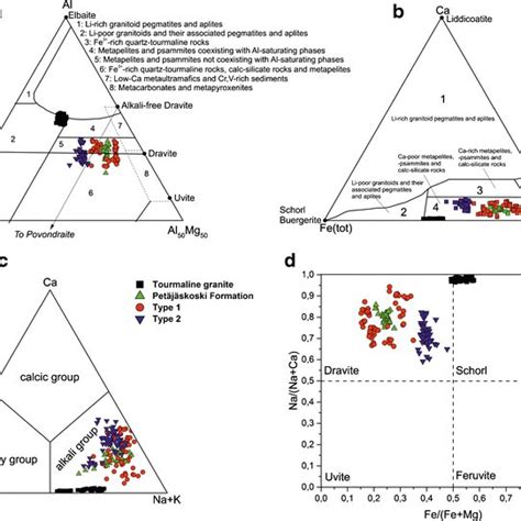 Ternary And Binary Diagrams For Tourmaline Composition A Al Fe Mg