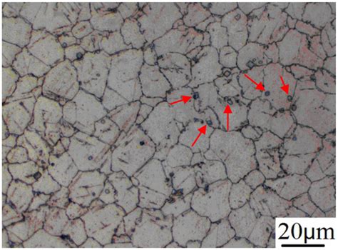 Typical Microstructure Of Ni Based Superalloy Gh4169 500× Download Scientific Diagram