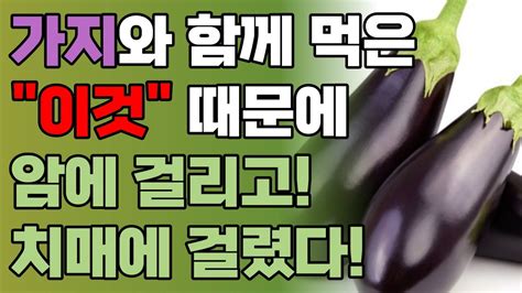 가지와 절대로 함께 먹지마세요 암과 치매에 걸릴 수 있습니다 가지와 최악의 궁합인 3가지 음식과 만성 염증과 독소 싹 빼주는 최고의 레시피 4가지 가지 효능 건강