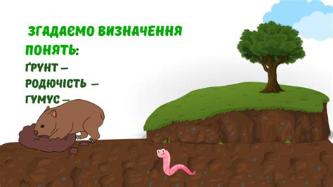 8 клас Географія Презентація Основні типи ґрунтів України Практична робота № 8 Порівняльний