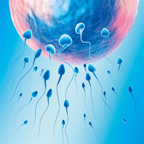 Sexualkunde Im Unterricht Magazin Schule