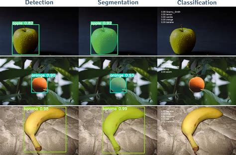Install Yolov8 Inside Docker Container In Linux Lindevs