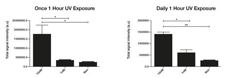 Antibody Drug Conjugates Non Artificial Human In Vitro Skin Tests Alcyomics