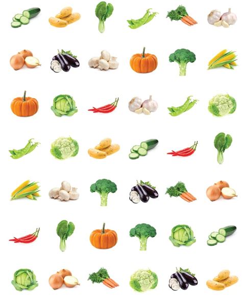Assorted Vegetable Stickers Crafts And More