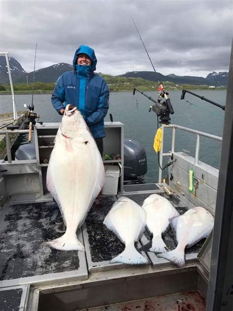 Alaska Halibut Are Fish Smaller Than Years Past