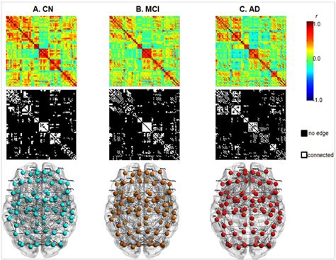 Whole Brain Functional Networks In Cn Mci And Ad The First Row