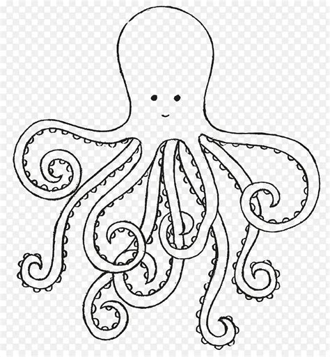 简笔鱿鱼png图片素材下载 图片编号7651278 Png素材网