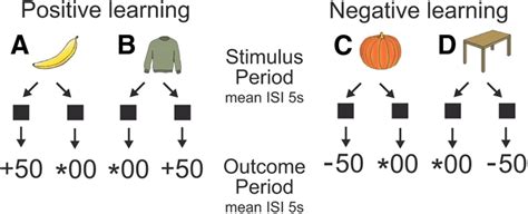 Reduced Striatal Responses To Reward Prediction Errors In Older Compared With Younger Adults