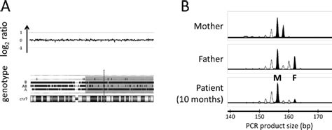 copy number variation analysis and loss of heterozygosity loh