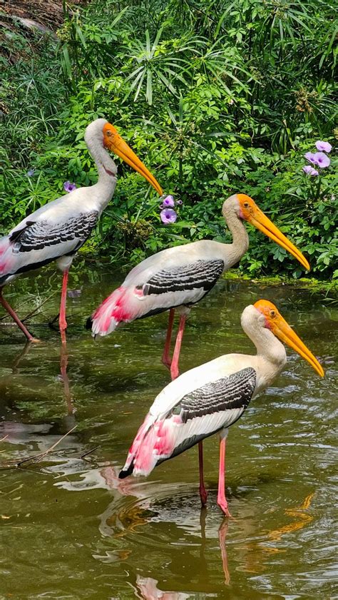 Siva Kumar Posted On Linkedin