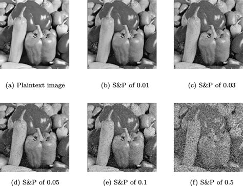 Robustness Of The Proposed Algorithm Against Salt And Pepper Noise Or