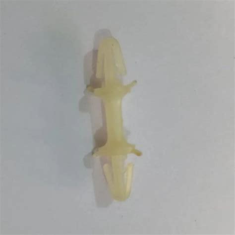 Nylon Plastic Dual Lock Pcb Spacer At Best Price In Mumbai By Yamuna Traders Id 2851595086373