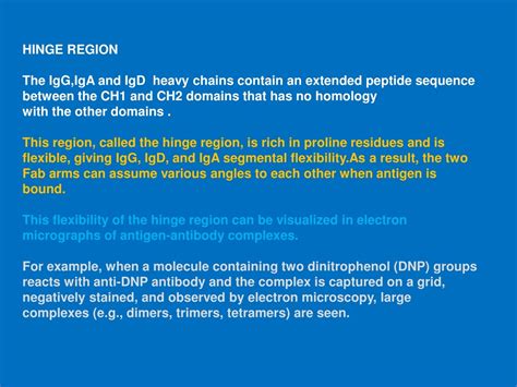 Ppt Immunoglobulins Structure And Functions Powerpoint Presentation
