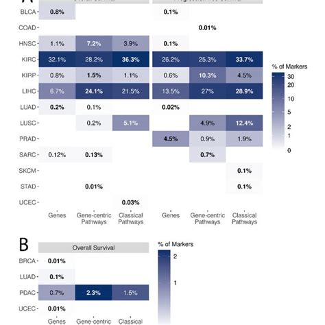 Percentage Of Potential Prognostic Biomarkers Characterized By Download Scientific Diagram