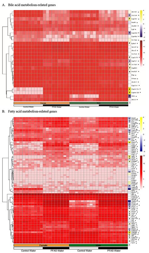Exposure To A Mixture Of Legacy Alternative And Replacement Per And