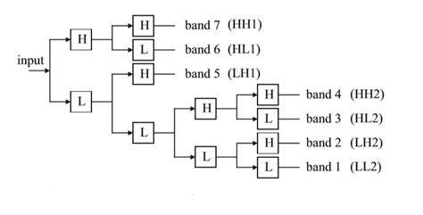Decomposition Levels Download Scientific Diagram