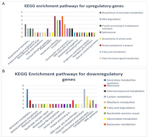 Graph Showing Metabolic Pathways Depicted By Kegg Pathway Analysis 4a Download Scientific