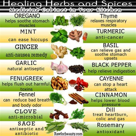 Healing Herbs And Spices