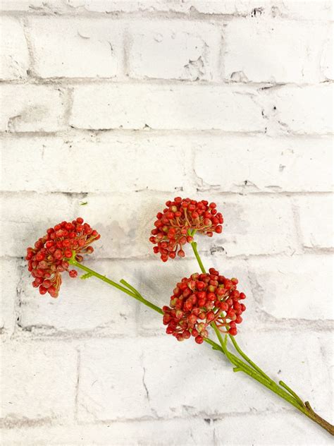 Red Mini Allium Stem Keleas Florals