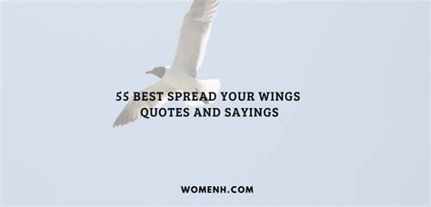 Wings And Saying