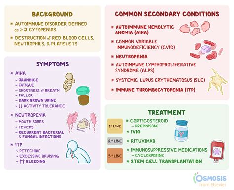 Evans Syndrome What It Is Causes Signs And Symptoms And More Osmosis