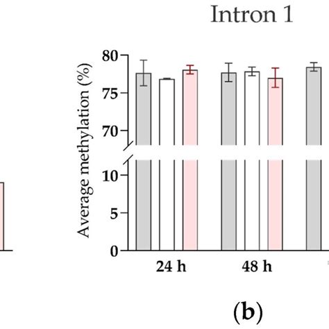 Effect Of Glucose On Dna Methylation Of Sert Promoter And Intron 1 Download Scientific Diagram