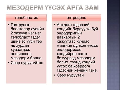 онтогенез нэгэн биеийн хөгжил Pptx