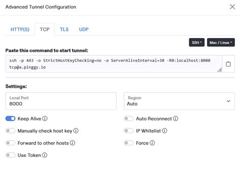 推荐一个简单的临时内网穿透工具pinggy