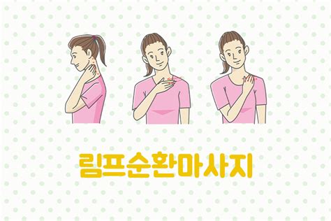 림프순환마사지 림프절 마사지 필요성 네이버 포스트