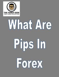 What Are Pips In Forex The Forex Geek