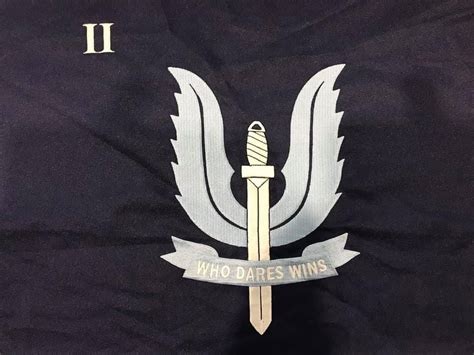 Dr Kay Danes Oam On Linkedin Keep Flying The 2 Sqn Sasr Flag Disbanding Sas Squadron Flag