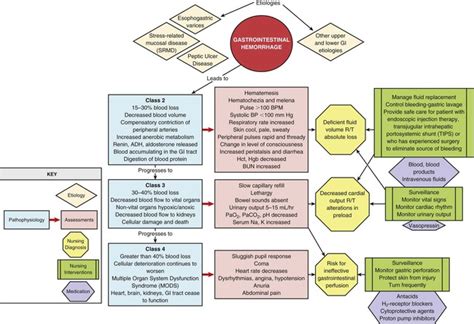 Postpartum Hemorrhage Concept Map