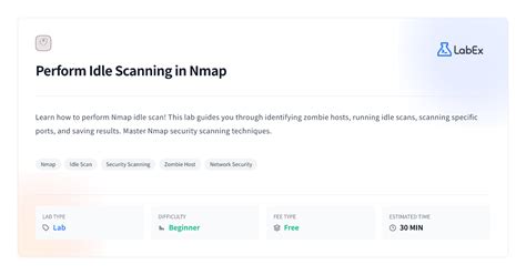 Perform Idle Scanning In Nmap Labex