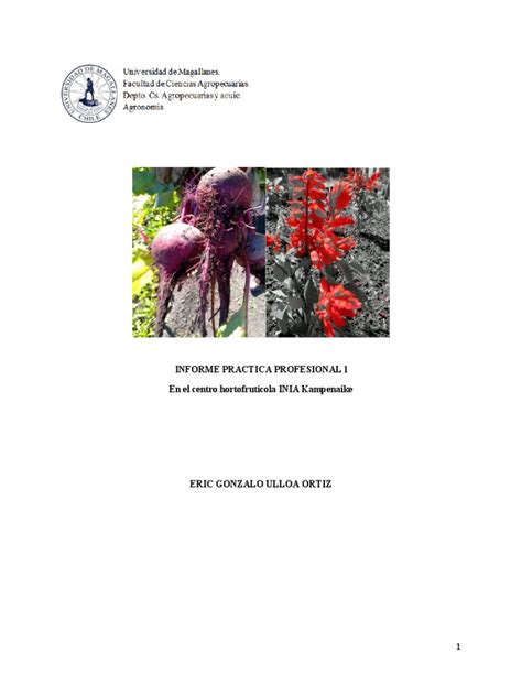 Informe Practica Profesional Ii Informe Final Eric Ulloa Pdf Compost Riego