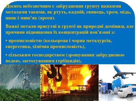 життєві форми презентація з біології