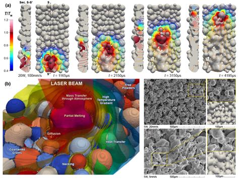 3d Non Isothermal Phase Field Simulation Of Microstructure Evolution