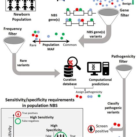 A Typical Genomic Analysis Pipeline In The Context Of Newborn Screening Download Scientific